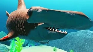 Hammerhead | Feed and Grow Fish Wikia | Fandom