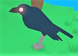 Crow | Feed Your Pets! ROBLOX Wiki | Fandom