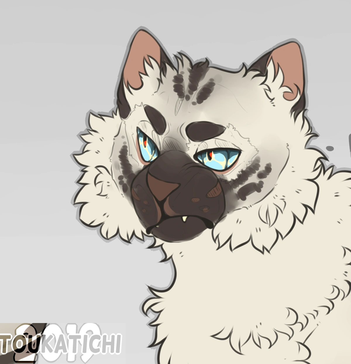 Kong | Felidae Wiki | Fandom