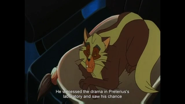 Kategorie:Felidae | Felidae Wiki | FANDOM powered by Wikia