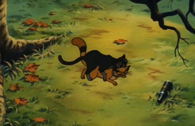 Image Catsmatingpng Felidaecats Wiki Fandom Powered By Wikia