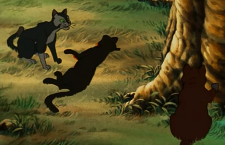 Francis | Felidaecats Wiki | Fandom