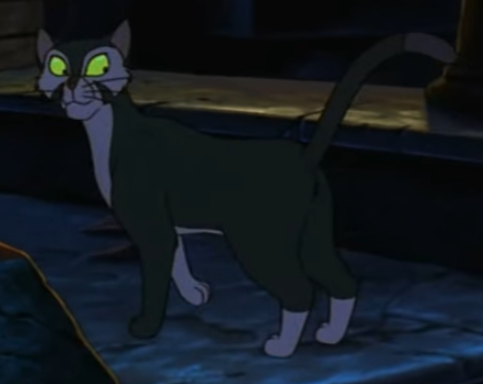 Francis | Felidaecats Wiki | Fandom