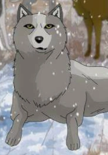 Kelo | Feral Pride Wiki | Fandom