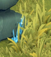 Shimmer Grass | Feral Wiki | Fandom