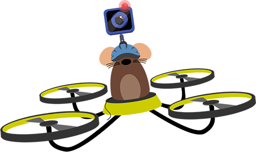 Chet | Fetch With Ruff Ruffman Wiki | Fandom Chet | Fetch With Ruff Ruffman Wiki | Fandom