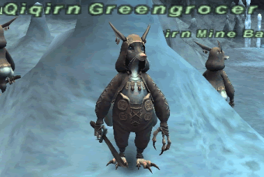 Image - Qiqirn Greengrocer.gif | FFXIclopedia | FANDOM powered by Wikia