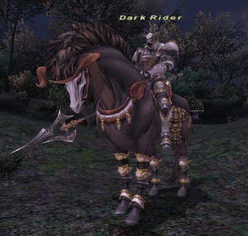 Dark Rider | FFXIclopedia | FANDOM powered by Wikia