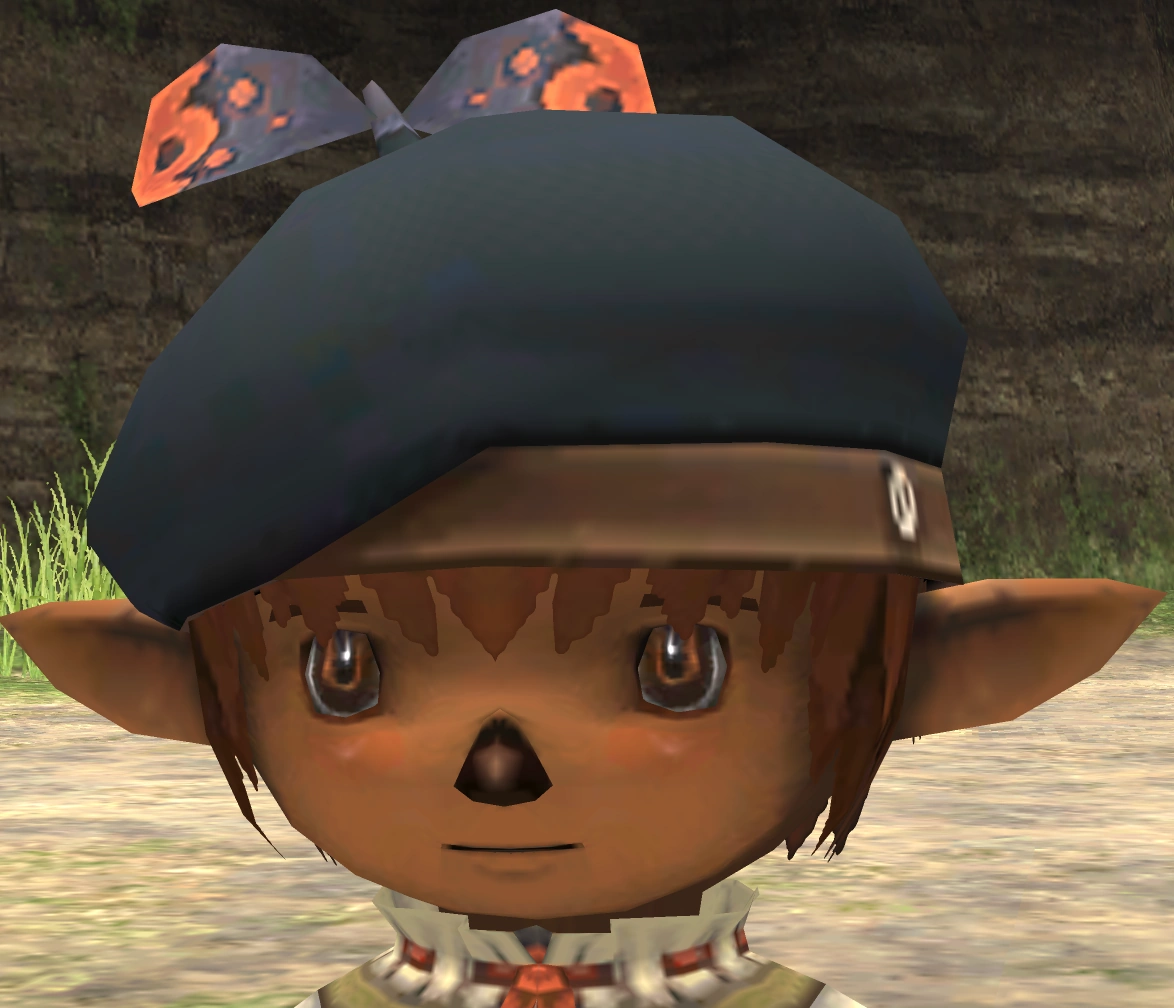Guide Beret | FFXIclopedia | Fandom
