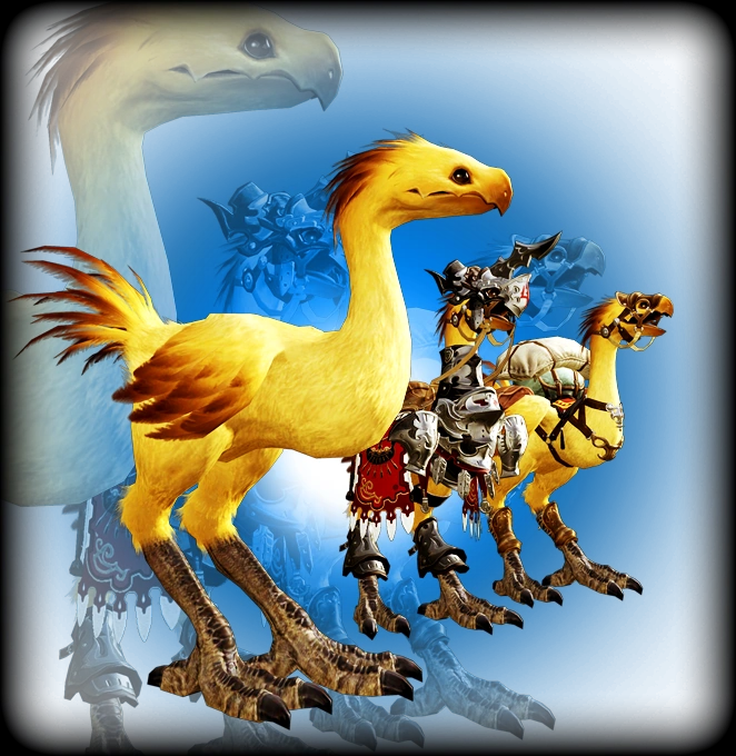 Chocobo | Wiki FFXIV: ARR | FANDOM powered by Wikia