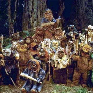 Ewok | FicSpecies | Fandom