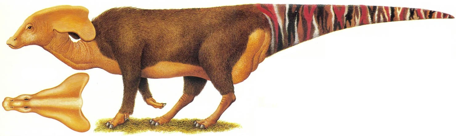 Category:Family: Hadrosauridae | Fiction Taxonomy Wiki | Fandom