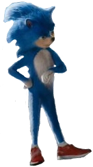 Mobian hedgehog | Fiction Taxonomy Wiki | Fandom