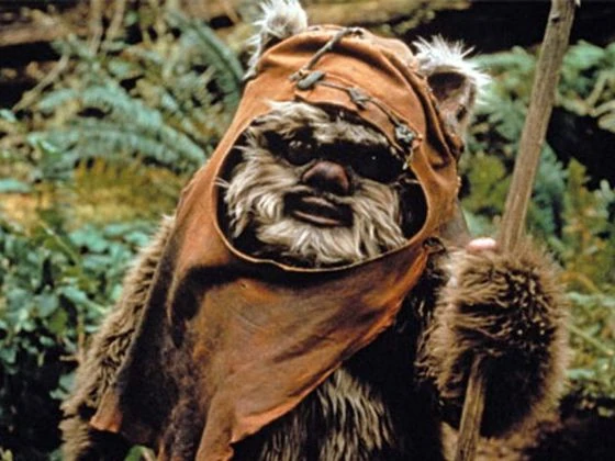 Ewok | Fiction Taxonomy Wiki | FANDOM powered by Wikia