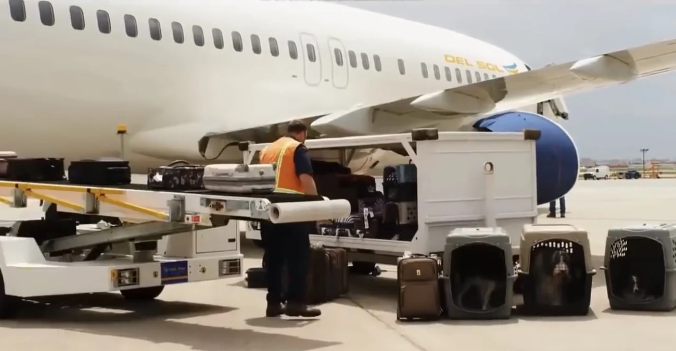 Del Sol Airlines | Fictional Airlines Wikia | Fandom