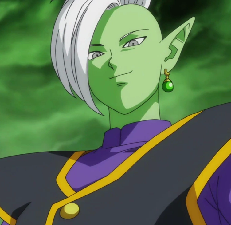 Future Zamasu | Fictional Fighters Wiki | Fandom