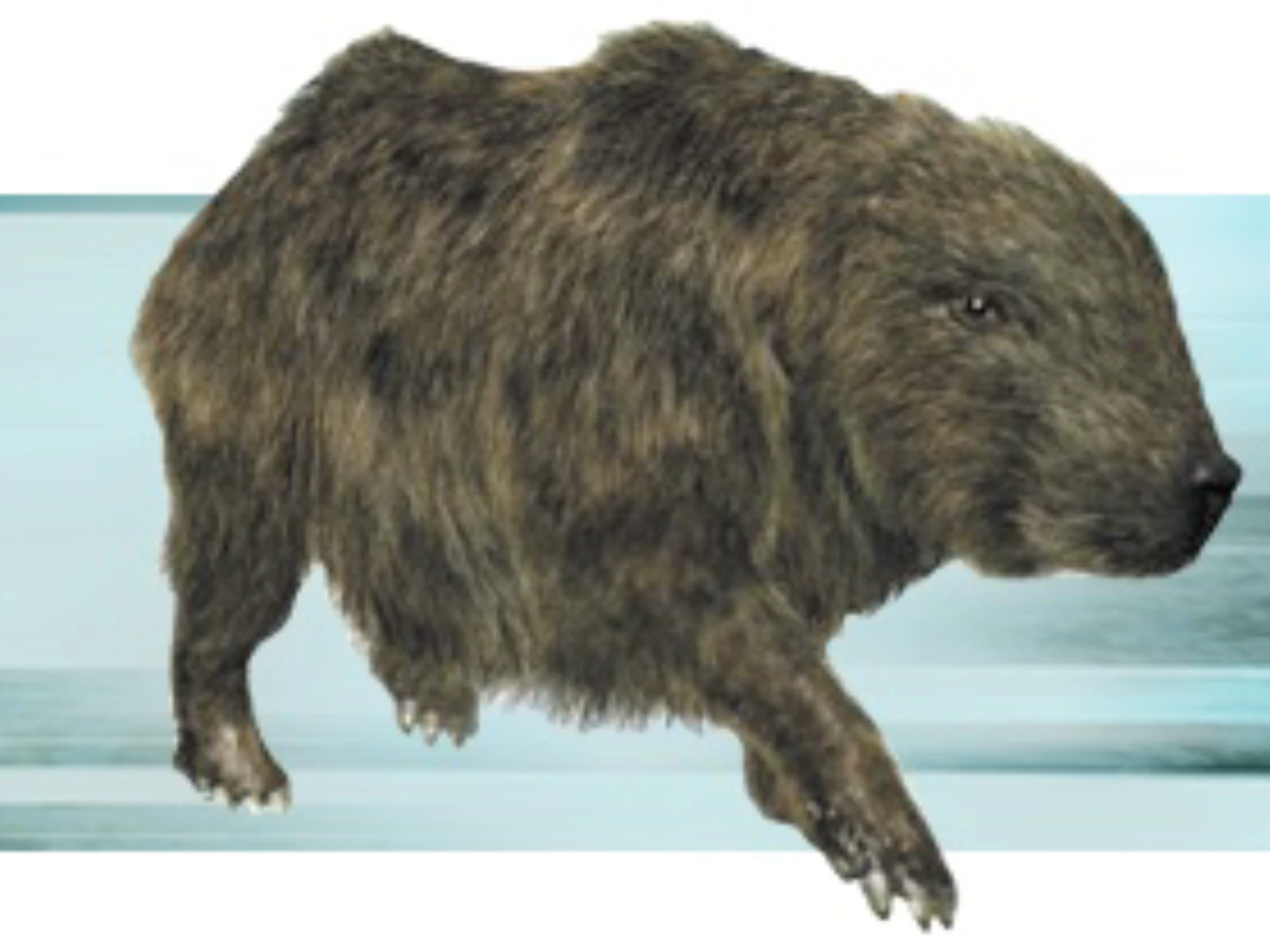 Shagrat | Fictional Animal Channel Wiki | Fandom