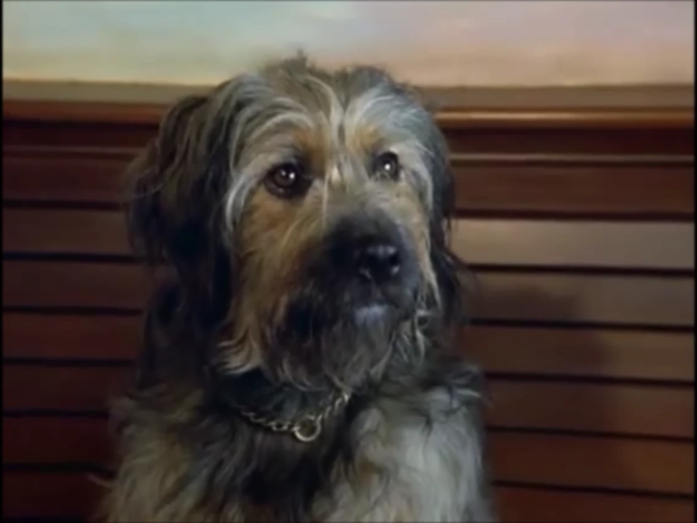 Image - ThomasandtheMagicRailroad253.png | Films, TV Shows and Wildlife ...