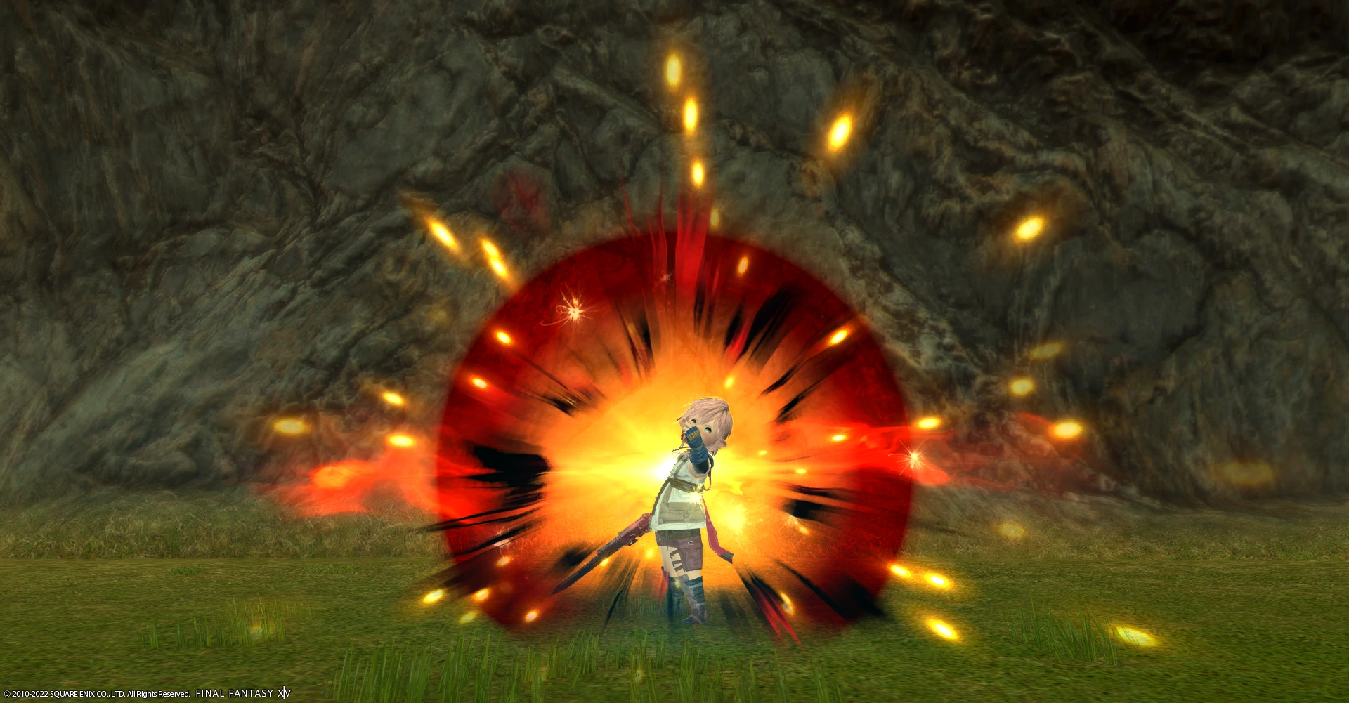 Royal Guard (ability) | Final Fantasy Wiki | Fandom