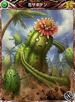 Flowering Cactoid | Final Fantasy Wiki | Fandom