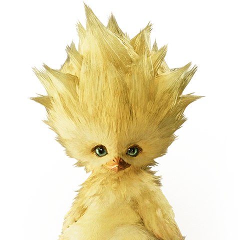 Chocobo chick | Final Fantasy Wiki | Fandom