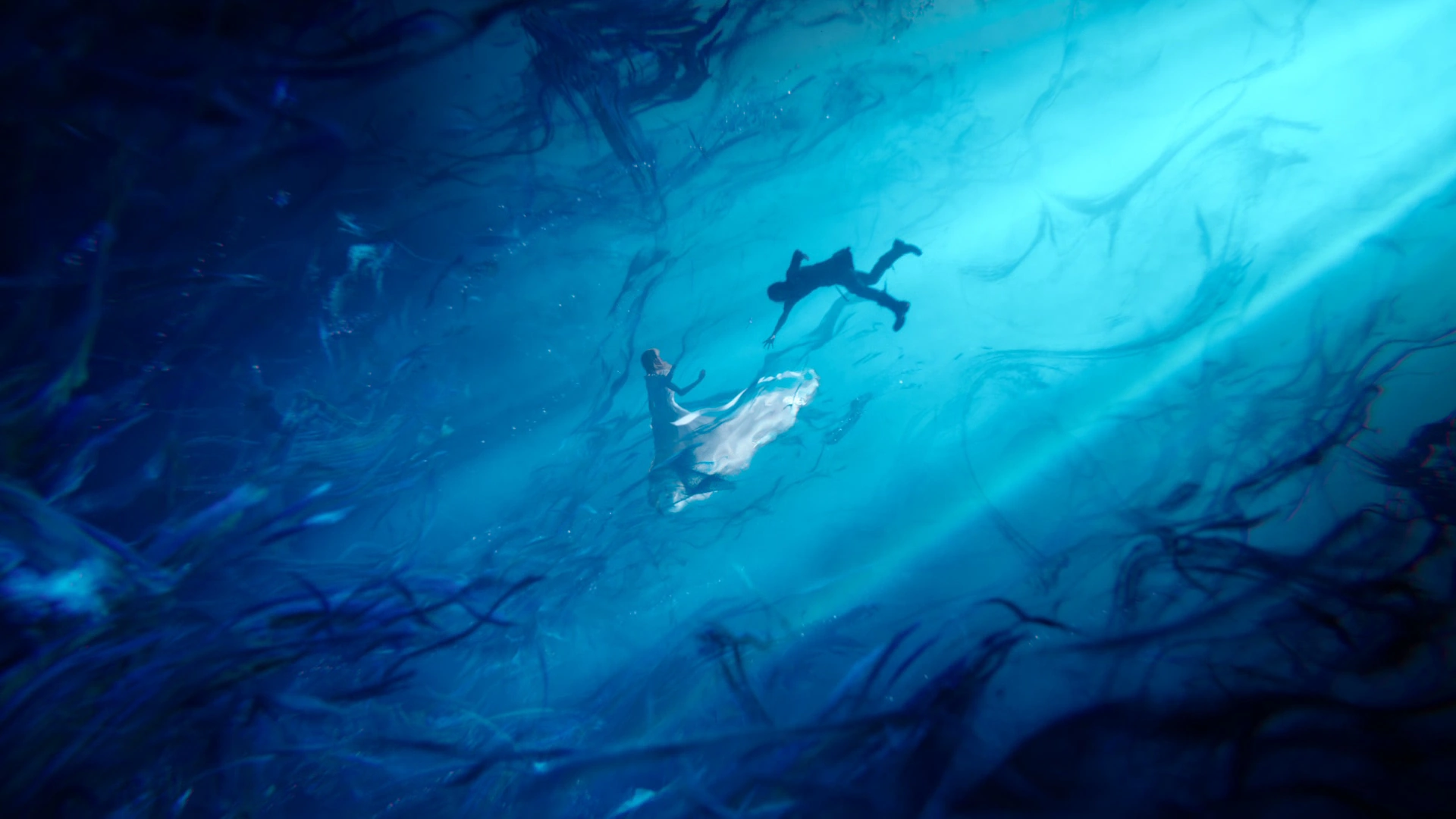 Image - Luna-Noctis-Dream-FFXV.png | Final Fantasy Wiki | FANDOM ...