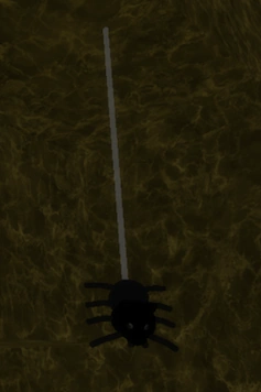 Spider Doge | Find The Doges Wiki | FANDOM powered by Wikia