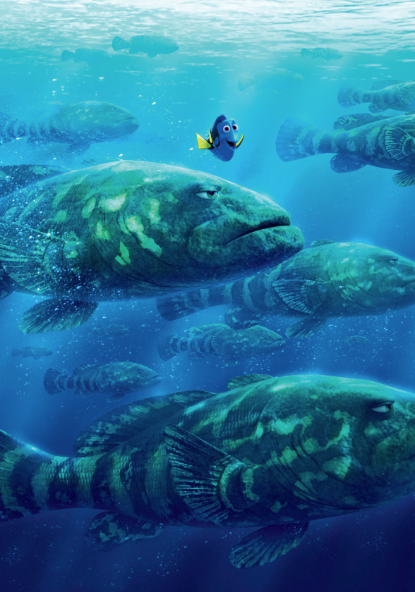 Image - Dory Fish Textless.png | Finding Dory Wiki | FANDOM powered by ... Image - Dory Fish Textless.png | Finding Dory Wiki | FANDOM powered by ...