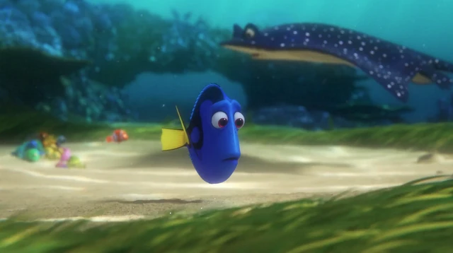 Image - Sad Dory.png | Finding Dory Wiki | FANDOM powered by Wikia
