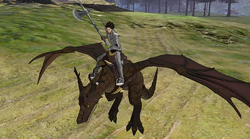 Wyvern Rider | Fire Emblem Wiki | FANDOM powered by Wikia
