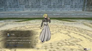 Constance | Fire Emblem Wiki | Fandom