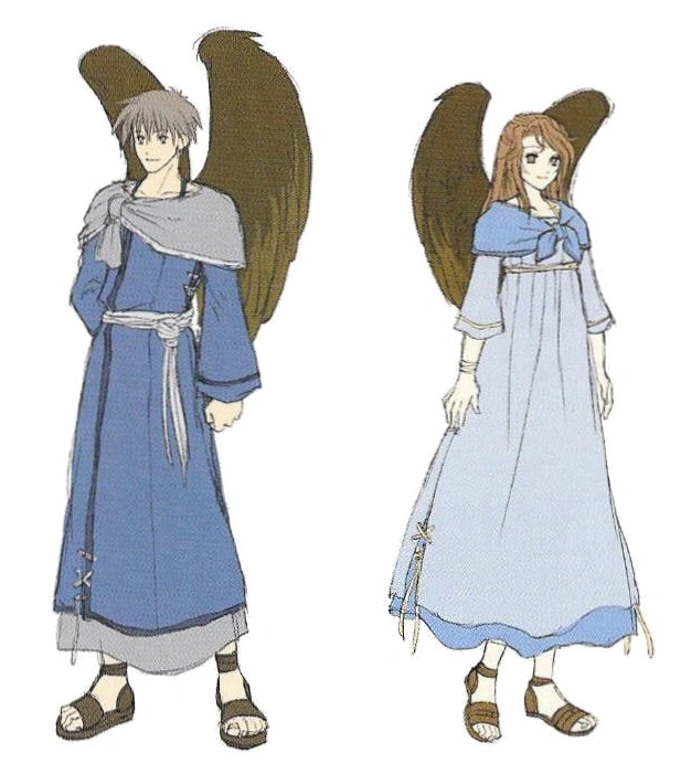 Bird tribe Laguz | Fire Emblem Wiki | Fandom