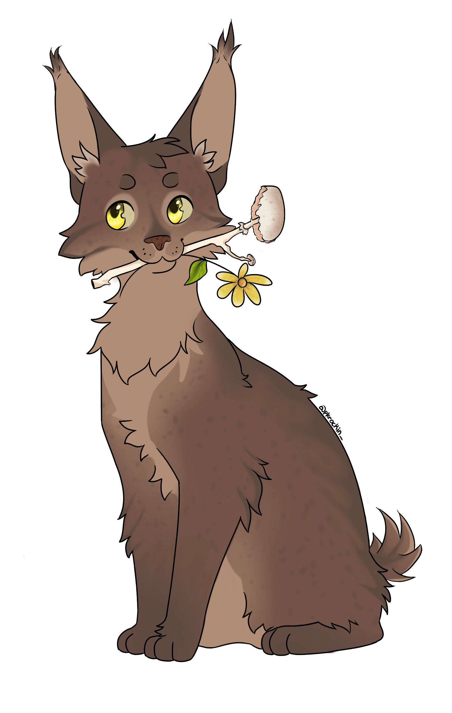 Toadpool | StarClan's Refuge Wiki | Fandom