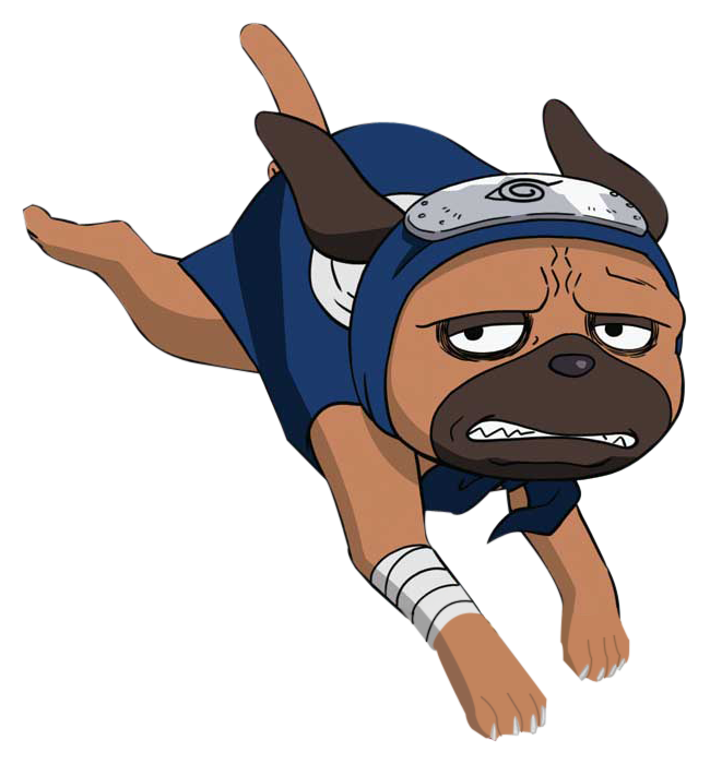 Pakkun | Five World War Wikia | Fandom