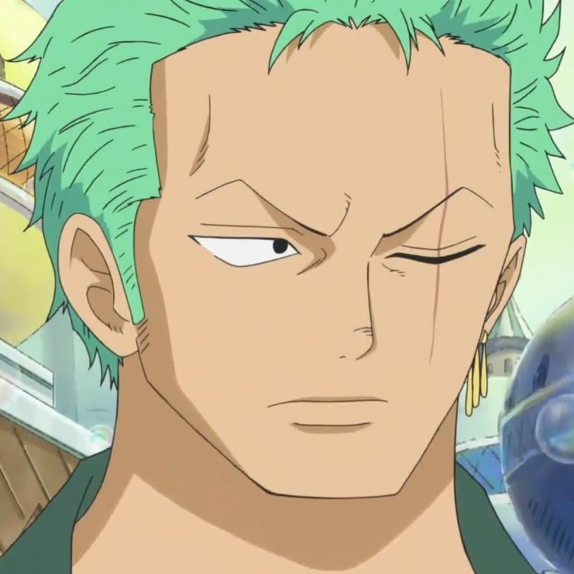 Roronoa Zoro | Five World Adventures Wiki | Fandom