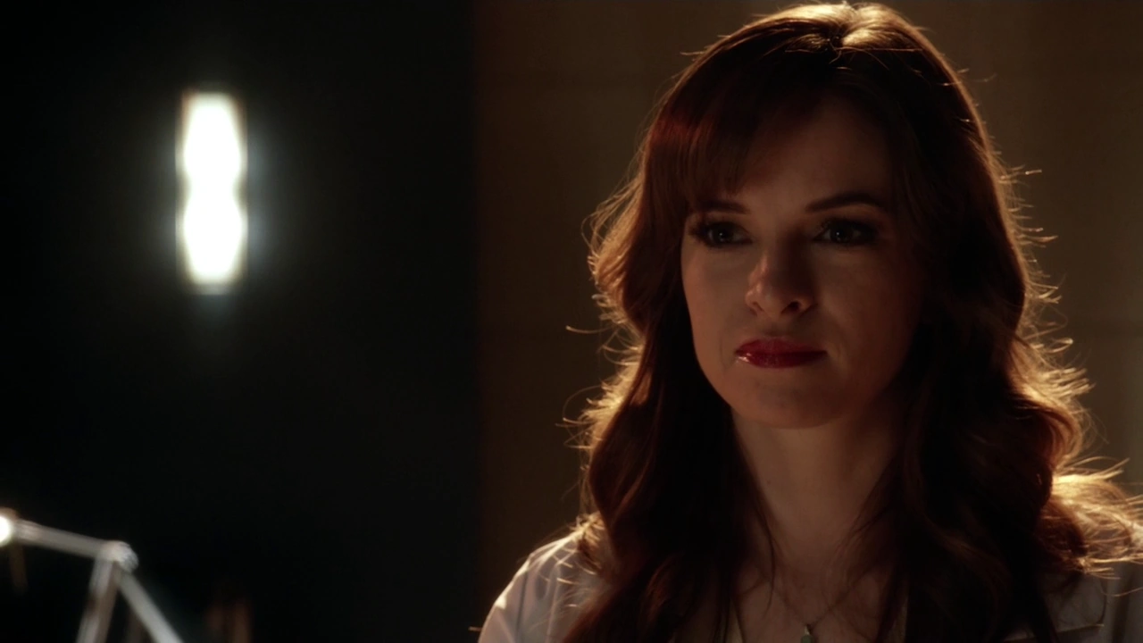 Caitlin Snow | Wikia Flashverso | Fandom