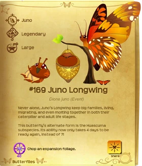 Juno Longwing | Flutter Butterfly Sanctuary Wiki | Fandom