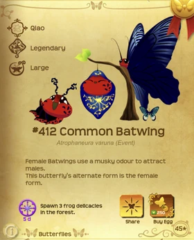 Common Batwing | Flutter Butterfly Sanctuary Wiki | Fandom