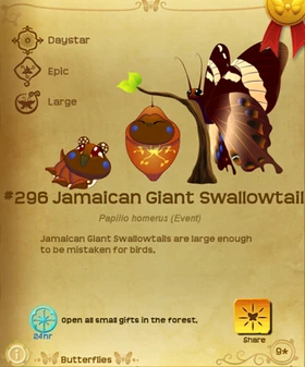 Jamaican Giant Swallowtail | Flutter Butterfly Sanctuary Wiki | Fandom