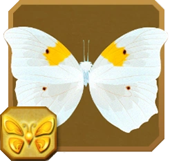 Map Butterfly | Flutter Butterfly Sanctuary Wiki | Fandom