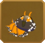 Mexican Metalmark | Flutter Butterfly Sanctuary Wiki | Fandom