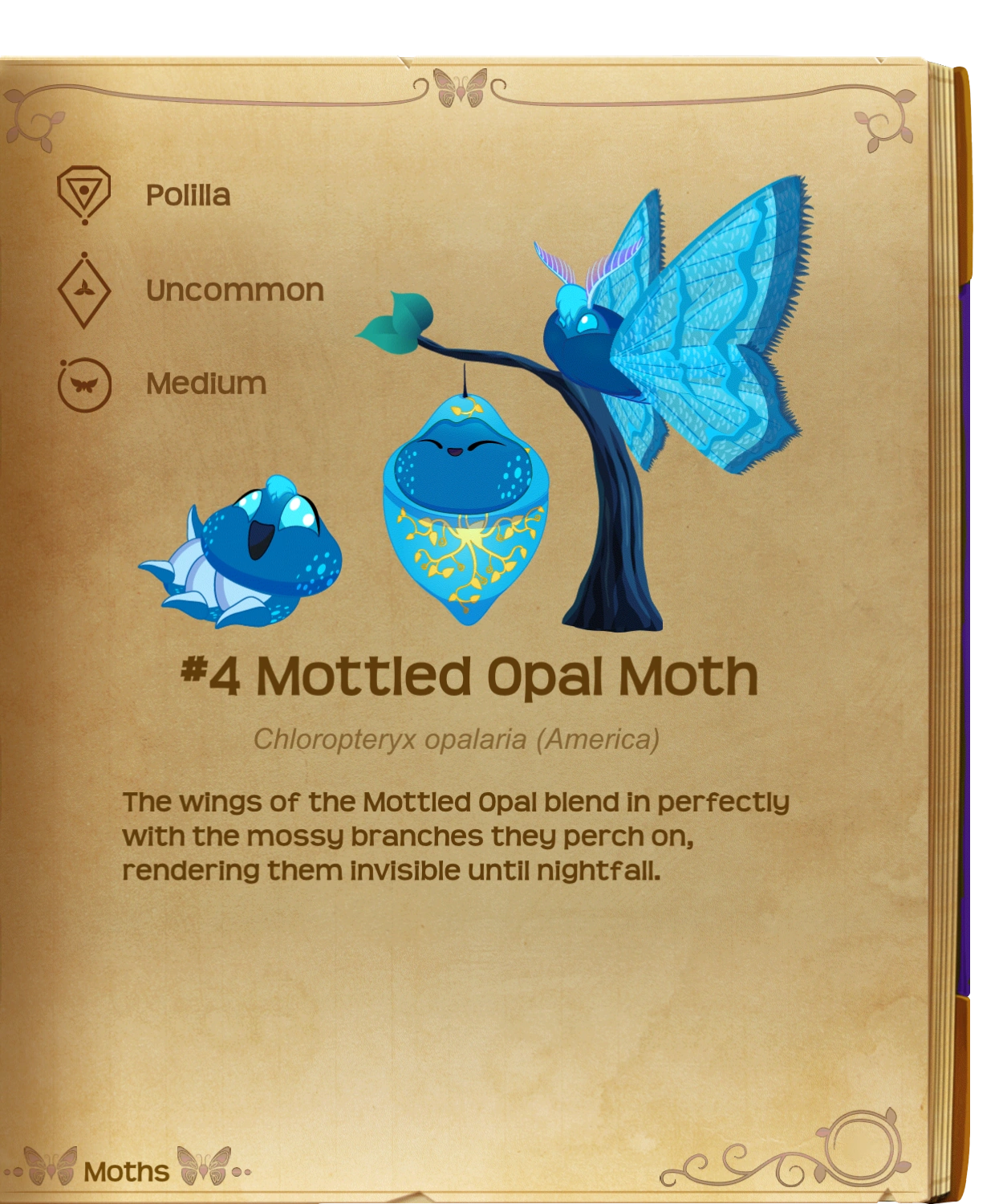 Mottled Opal Moth | Flutter: Starlight Wikia | Fandom