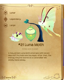 Luna Moth | Flutter: Starlight Wikia | FANDOM powered by Wikia
