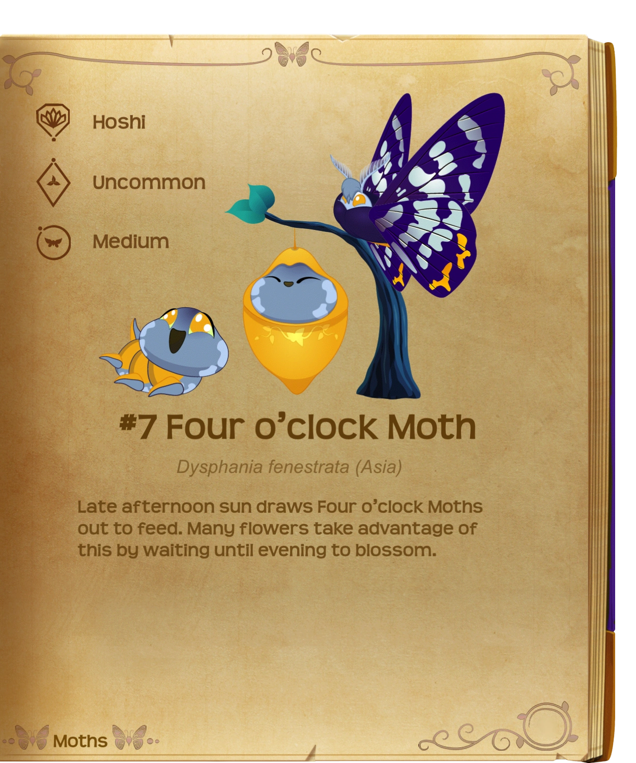 Four o'clock Moth | Flutter: Starlight Wikia | Fandom
