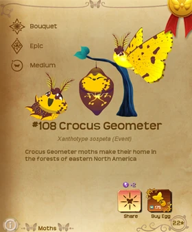 Crocus Geometer | Flutter: Starlight Wikia | Fandom