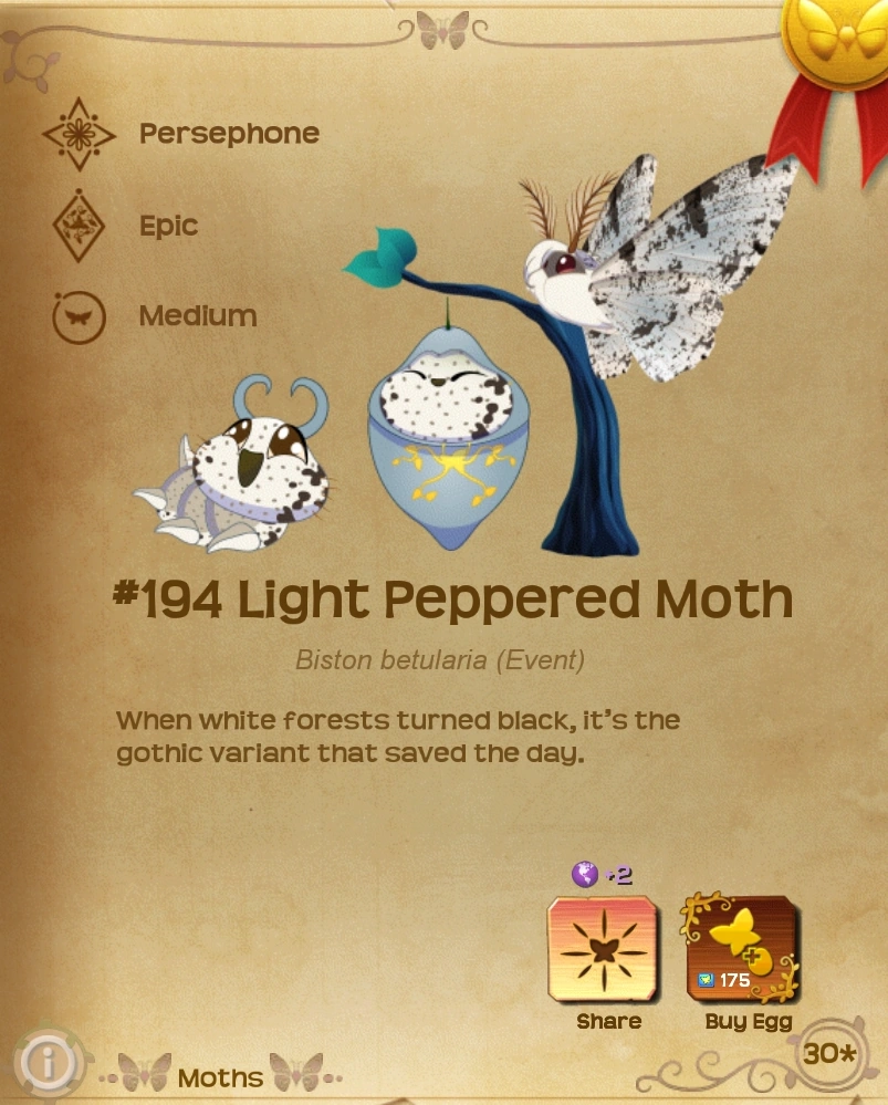 Light Peppered Moth | Flutter: Starlight Wikia | Fandom