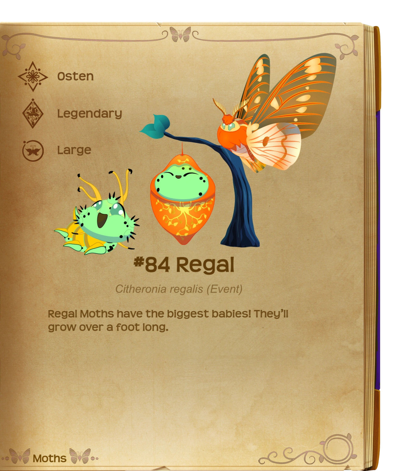 Regal | Flutter: Starlight Wikia | Fandom