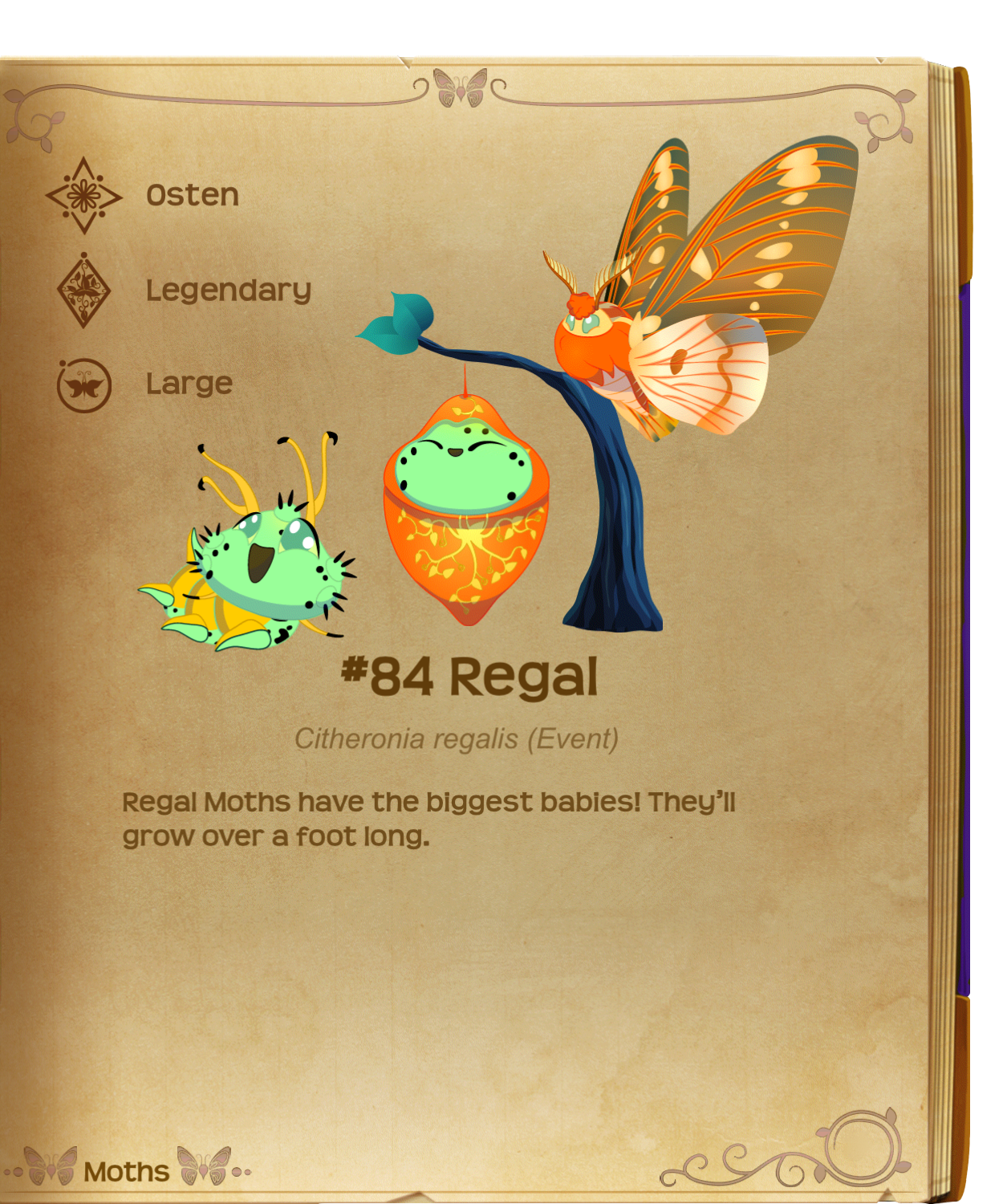 Regal Flutter Starlight Wikia Fandom
