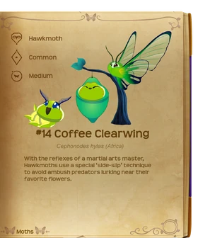 Coffee Clearwing | Flutter: Starlight Wikia | Fandom