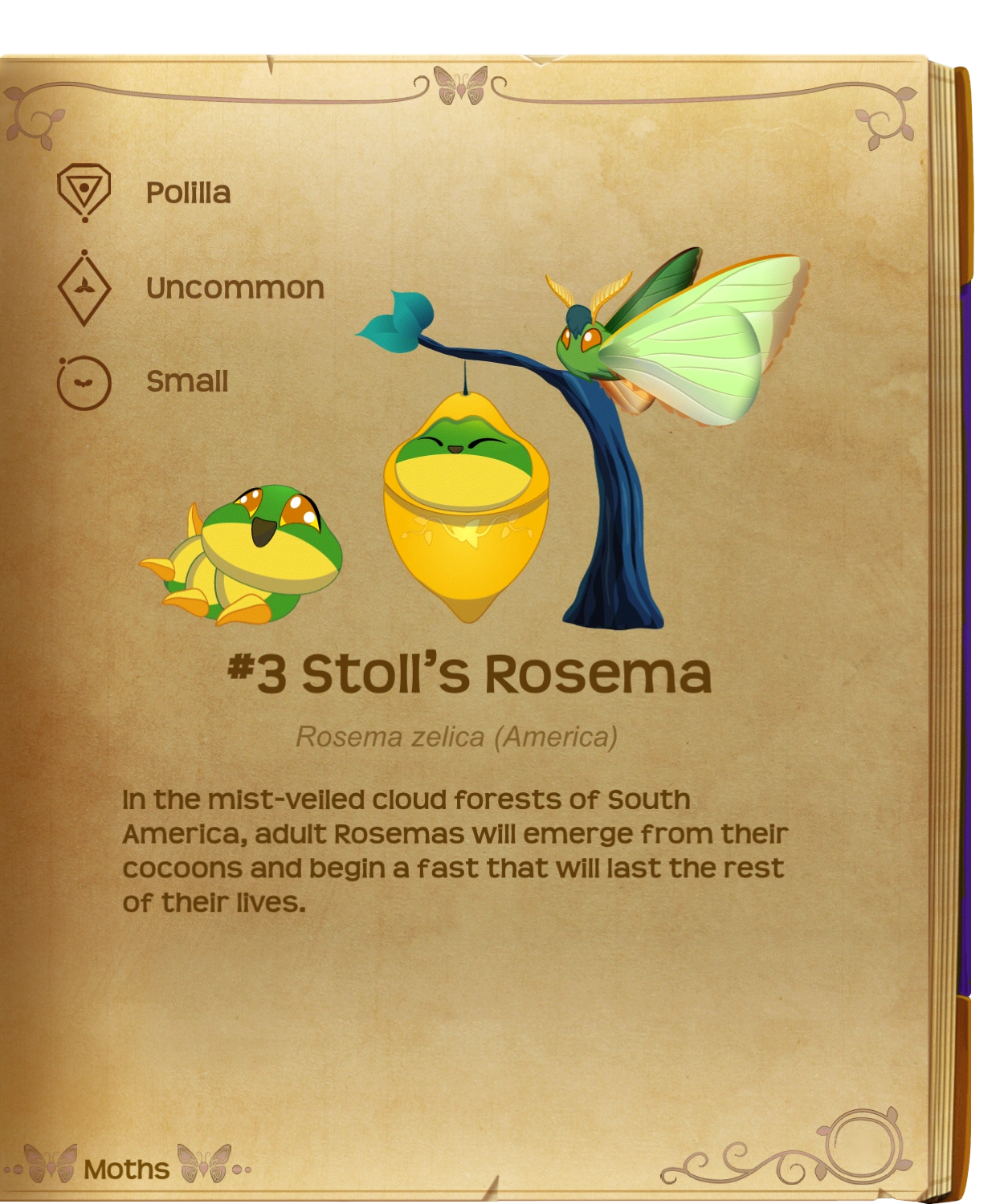 Stoll's Rosema | Flutter: Starlight Wikia | Fandom